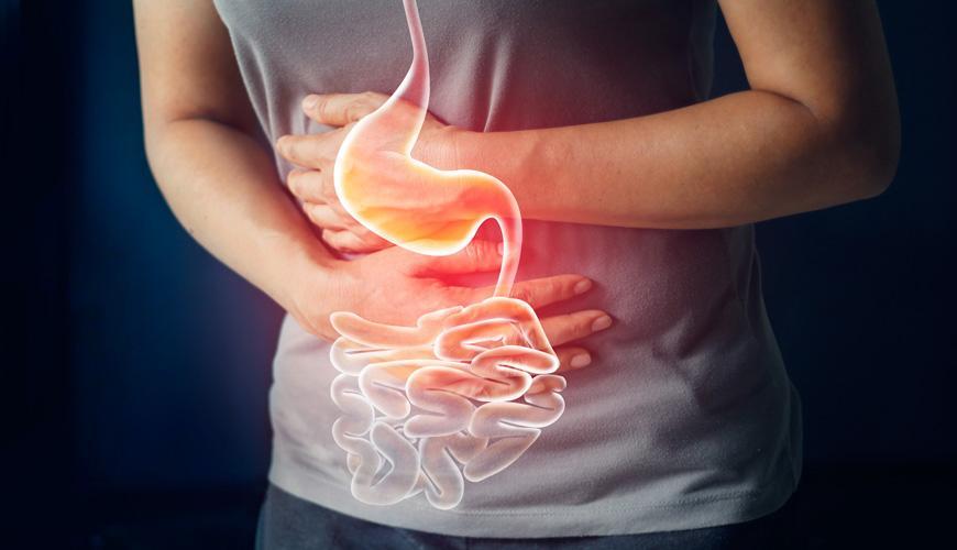 Stomak Arhive | Med-X Apoteka | Međunarodna dostava